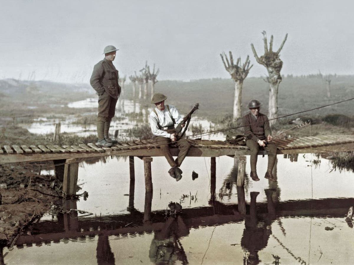 Never before seen personal accounts of Great War offer vivid picture of ...