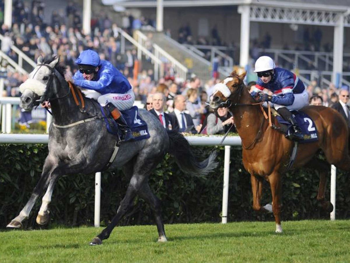 African Story heads Maktoum clean sweep | The Independent | The Independent