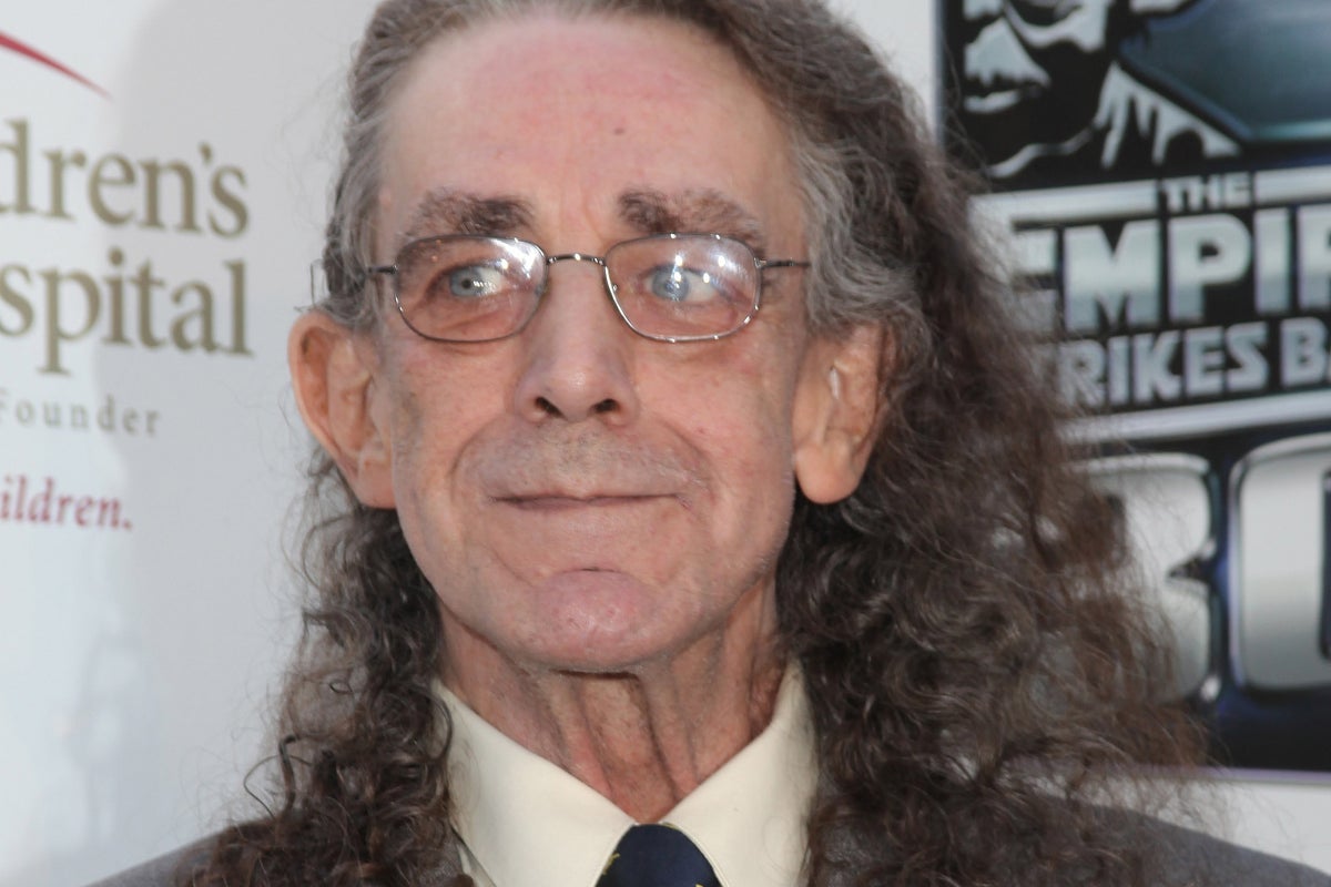 Star Wars 7: Peter Mayhew joins as Chewbacca | The Independent | The ...
