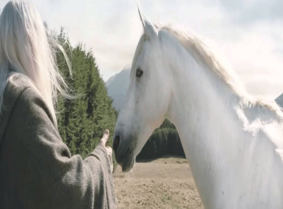 Gandalf's glorious horse Shadowfax has died | The Independent | The ...
