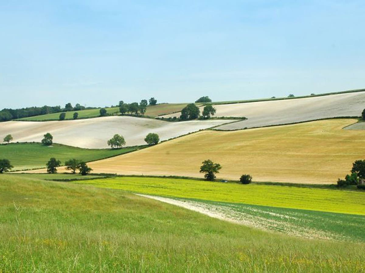 Walk of the month: The Chilterns | The Independent | The Independent