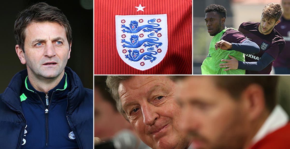 Tim Sherwood World Cup 2014 column: What I learnt from Roy Hodgson and ...