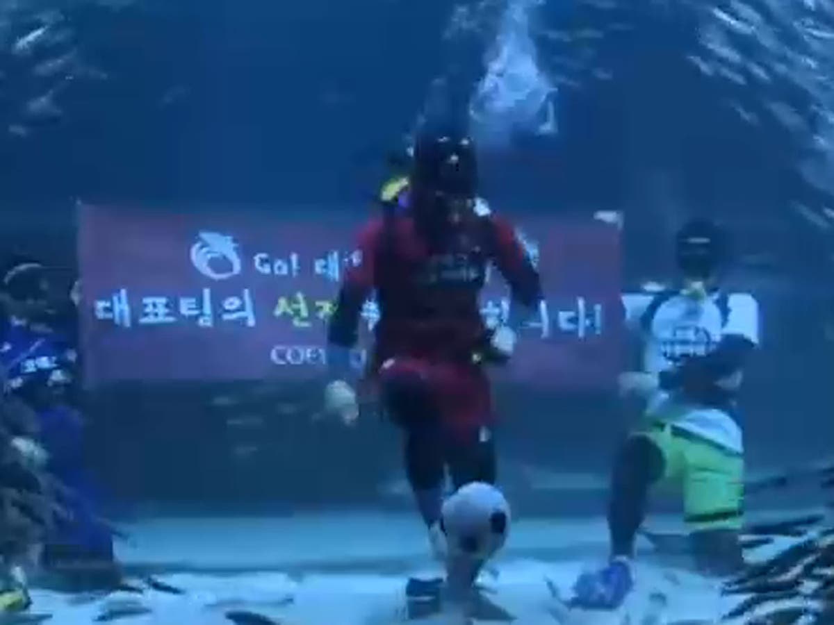 Underwater football | The Independent | The Independent