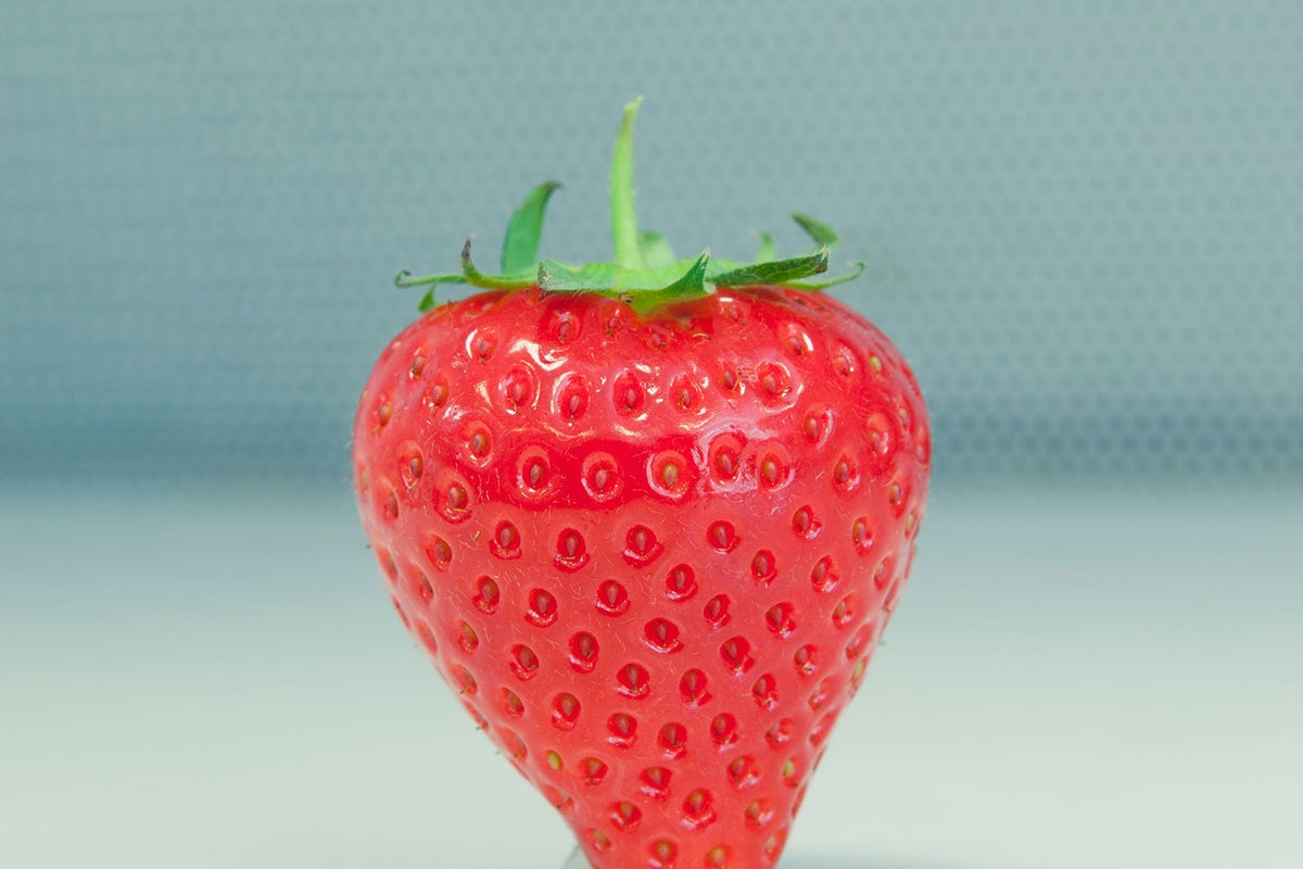 How the strawberry took over the world - with a little help from the ...