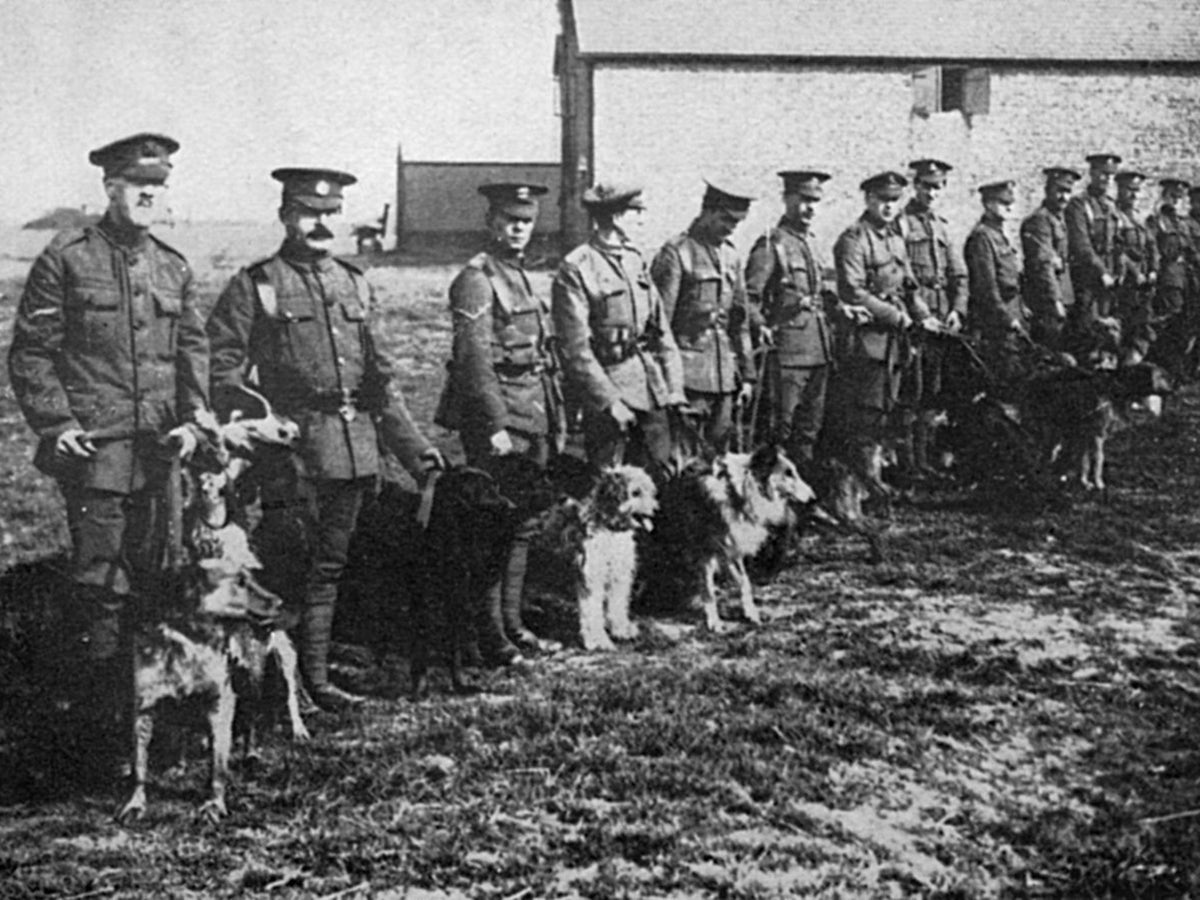 What Was The First War Dog