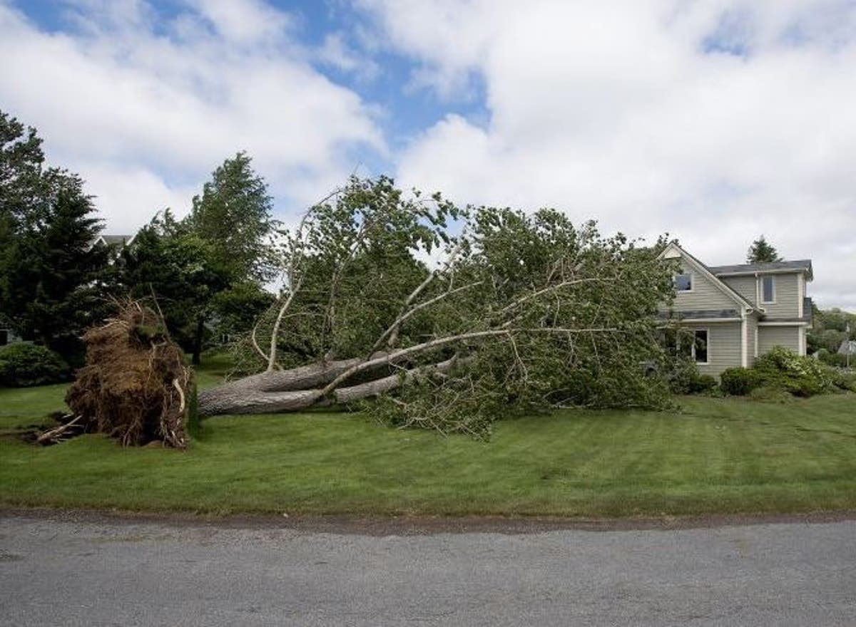 Storm Arthur: Post-tropical cyclone thunders through eastern Canada ...