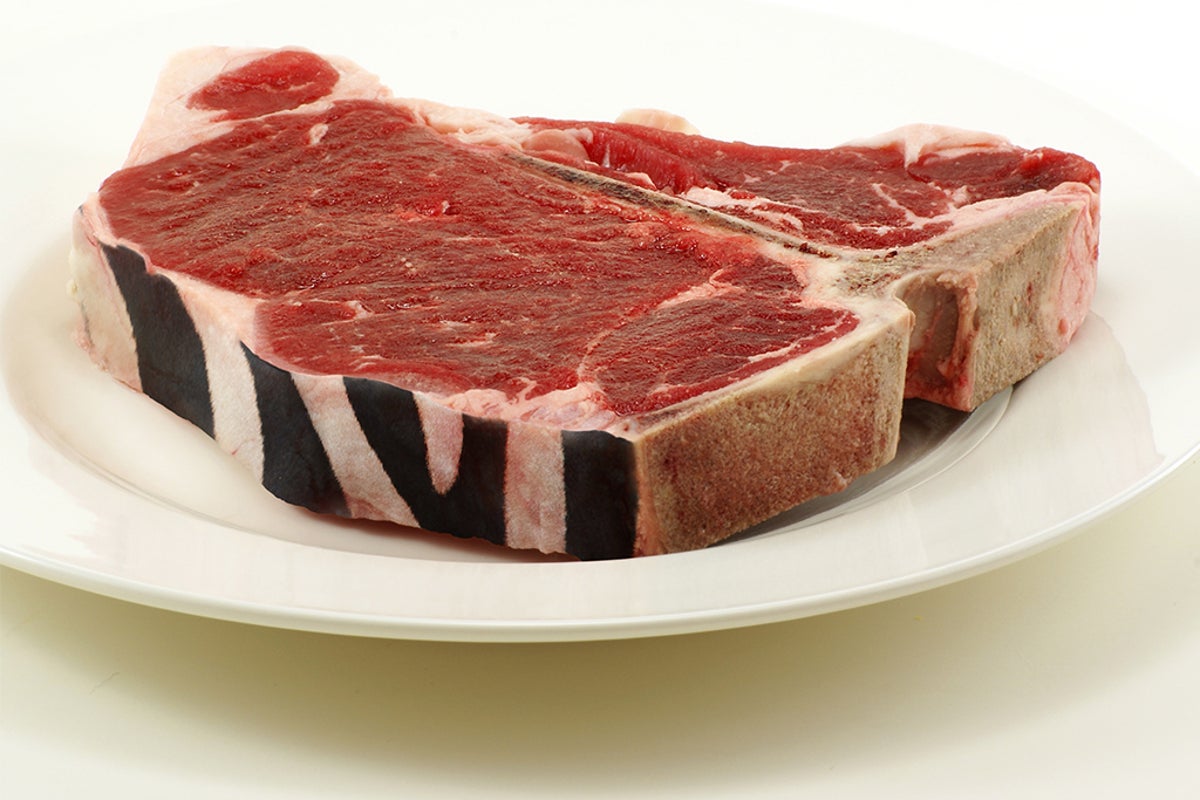 Zebra meat: Exotic and lean - but does it taste good? | The Independent ...