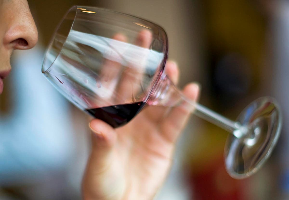 Drinking red wine could help overweight people burn fat better ...