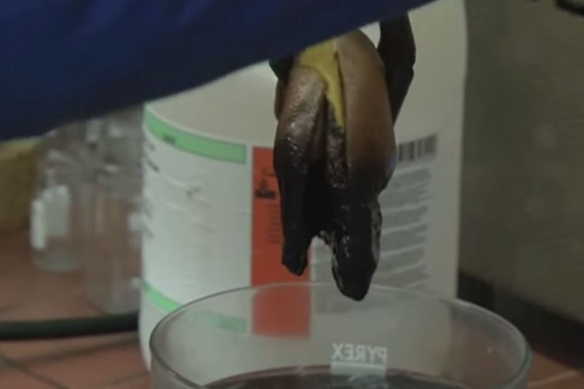This is what your stomach does to a cheeseburger | The Independent ...