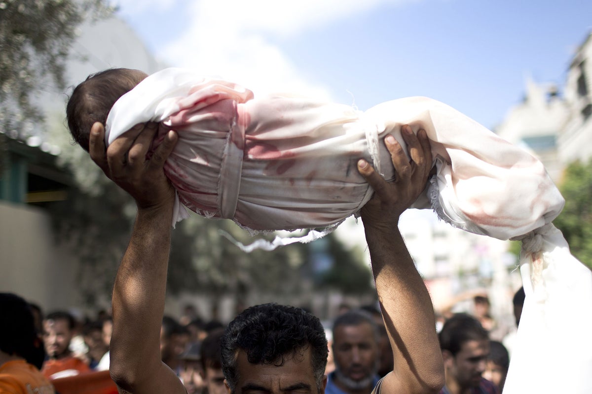 Gaza is too busy burying its children to report on injured owls | The ...