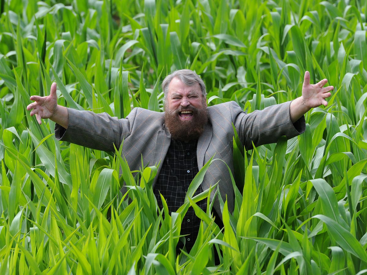 Brian Blessed rejected Doctor Who role | The Independent | The Independent
