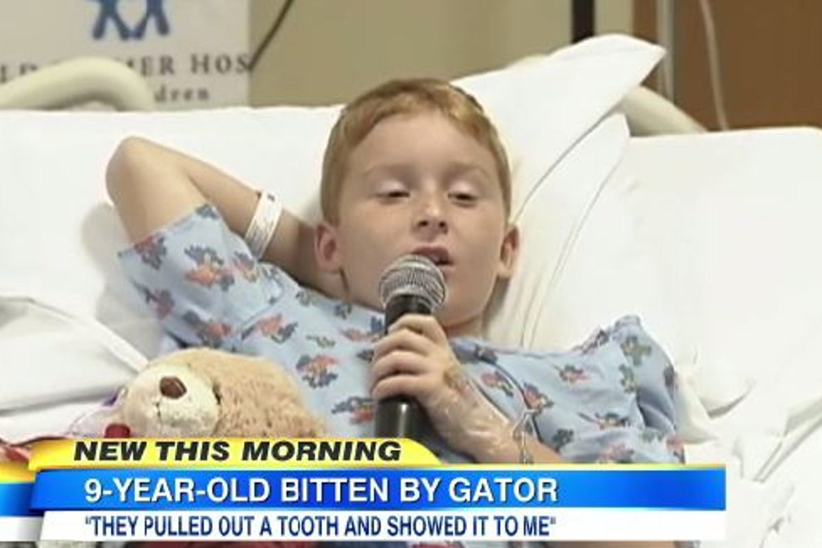 Boy, 9, fights off 400lb alligator and miraculously emerges with minor ...