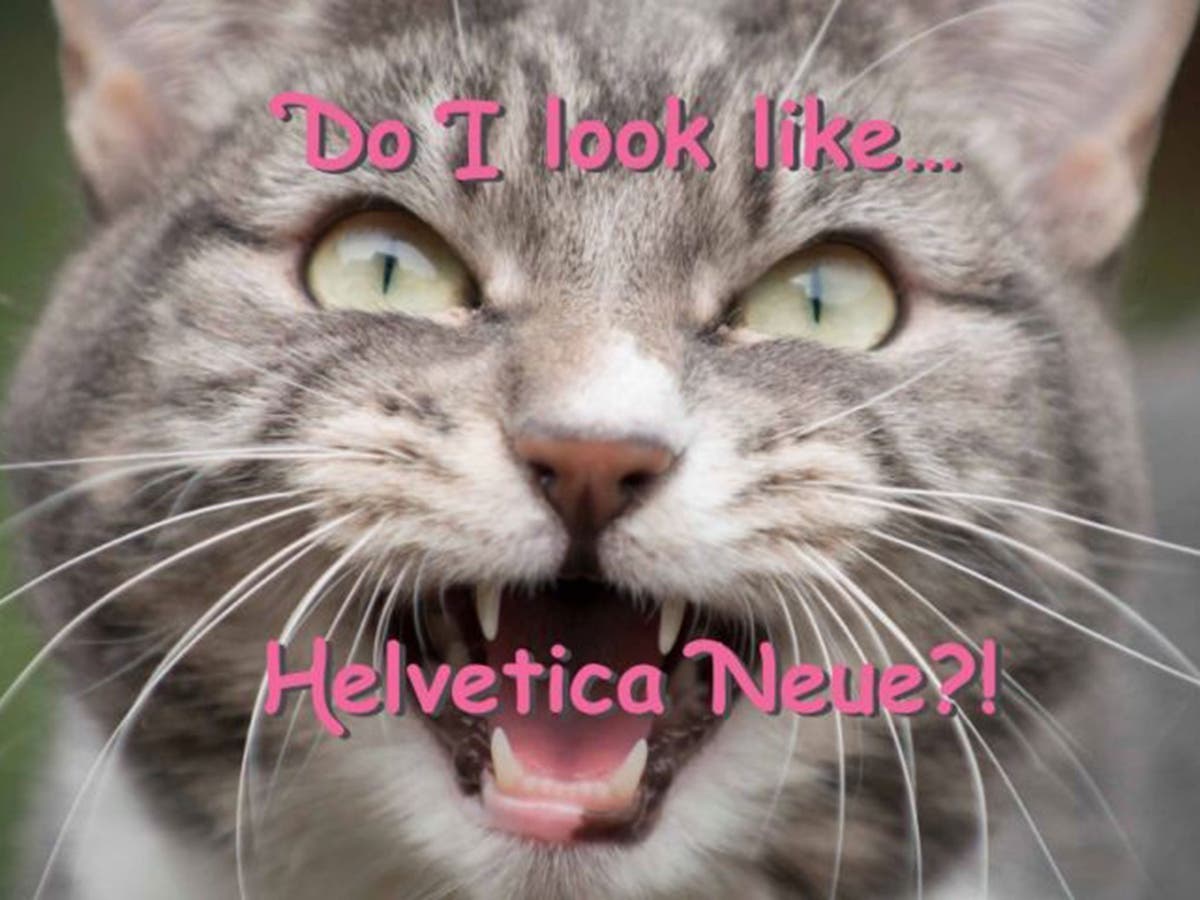 Comic Sans for Cancer exhibition: It’s the font that’s openly ridiculed ...