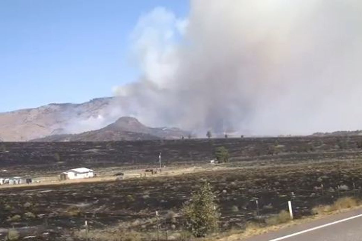 Woman ordered to pay $8m after starting 50,000-acre wildfire to keep ...