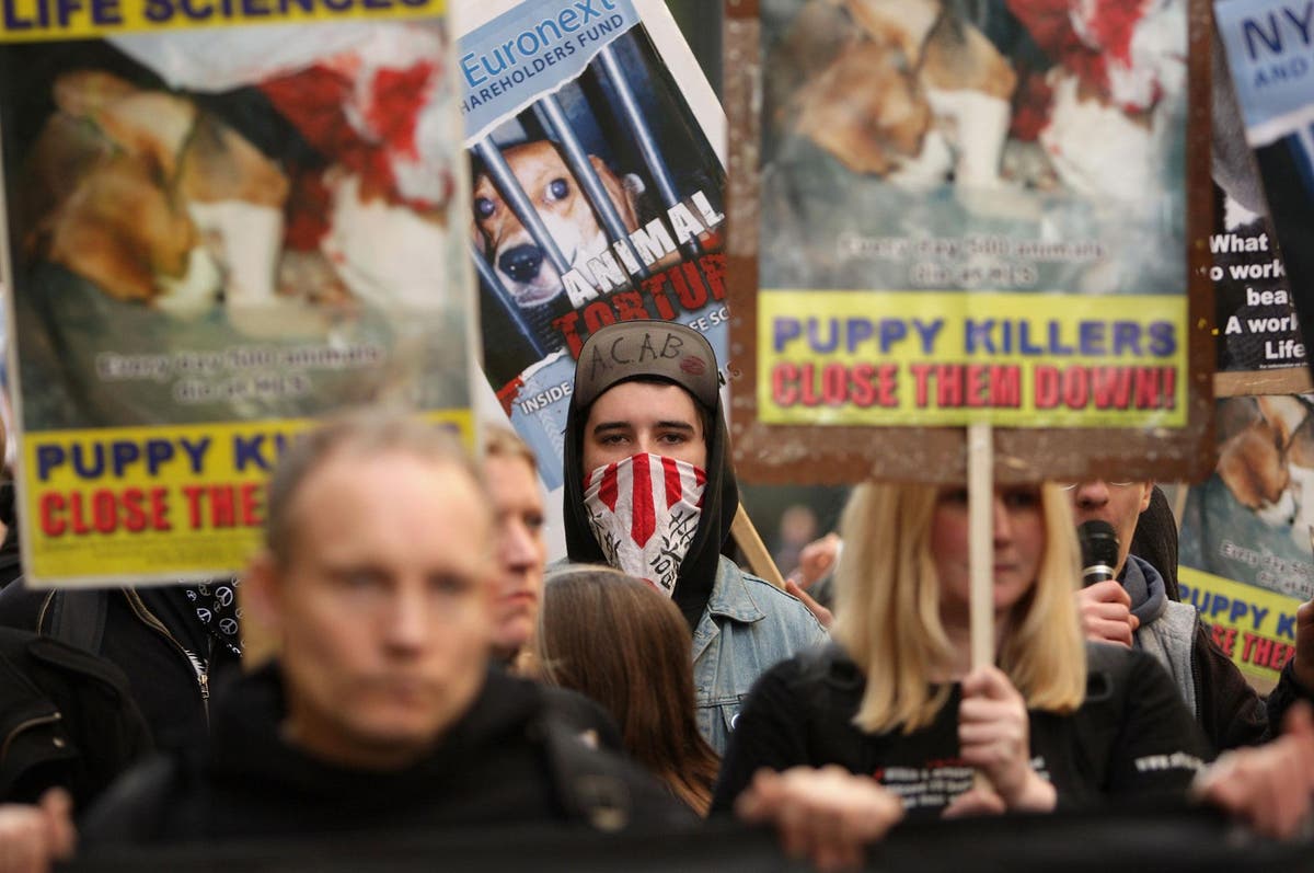 Animal rights group ends 15-year campaign against experiments at ...