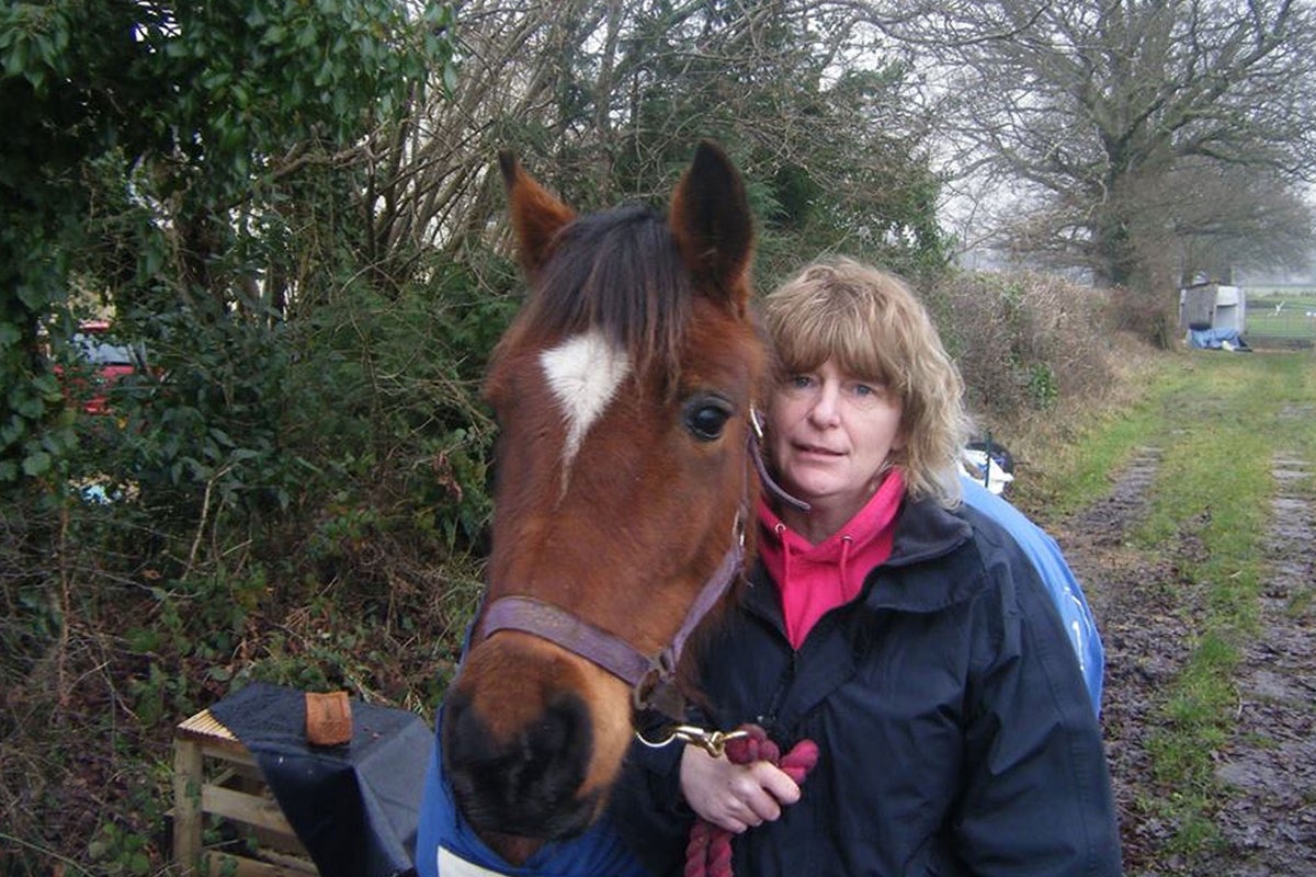 New Forest death: Pennie Davis was found stabbed to death at Hampshire ...