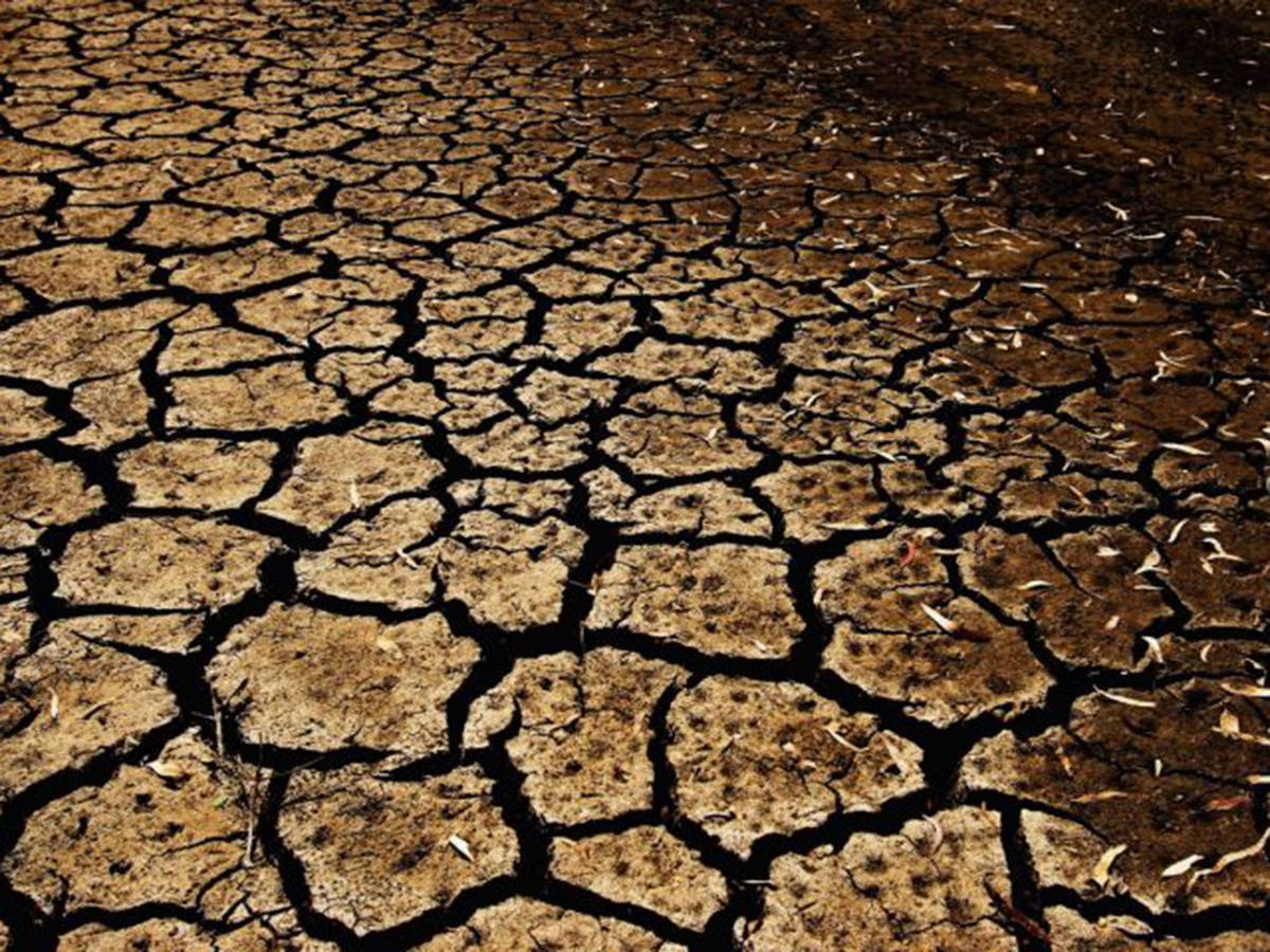 UK weather: Britain must be prepared for 'worst droughts in modern ...