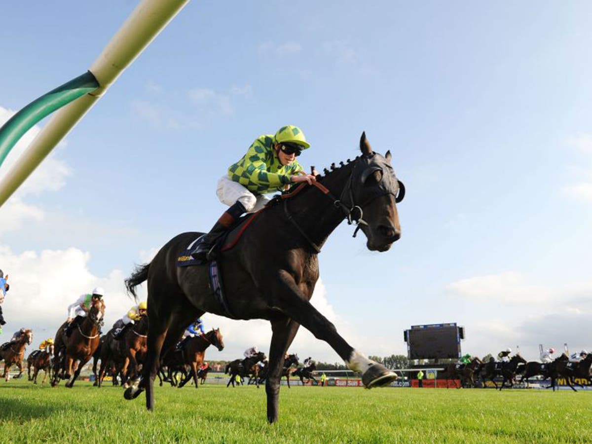 Louis The Pious brings Frank Gillespie unlikely double | The ...