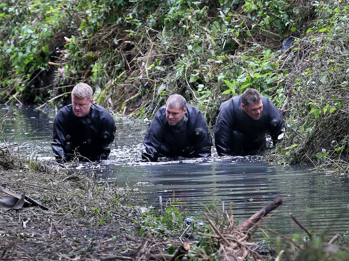 Alice Gross case: Police searching for missing teenager find body in ...