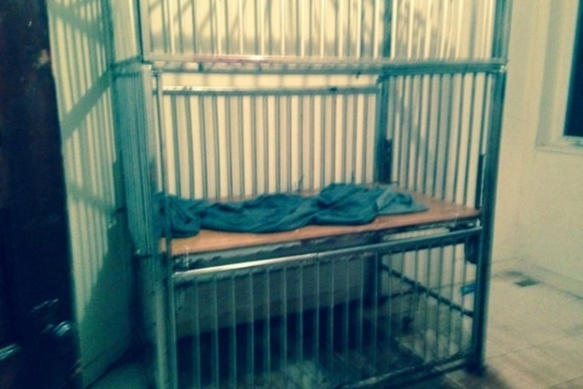 Teenager with autism found locked inside cage with door chained shut ...