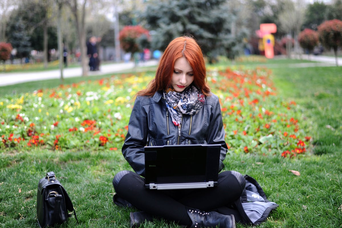 'Wasting Time on the Internet' course to be taught at University of ...