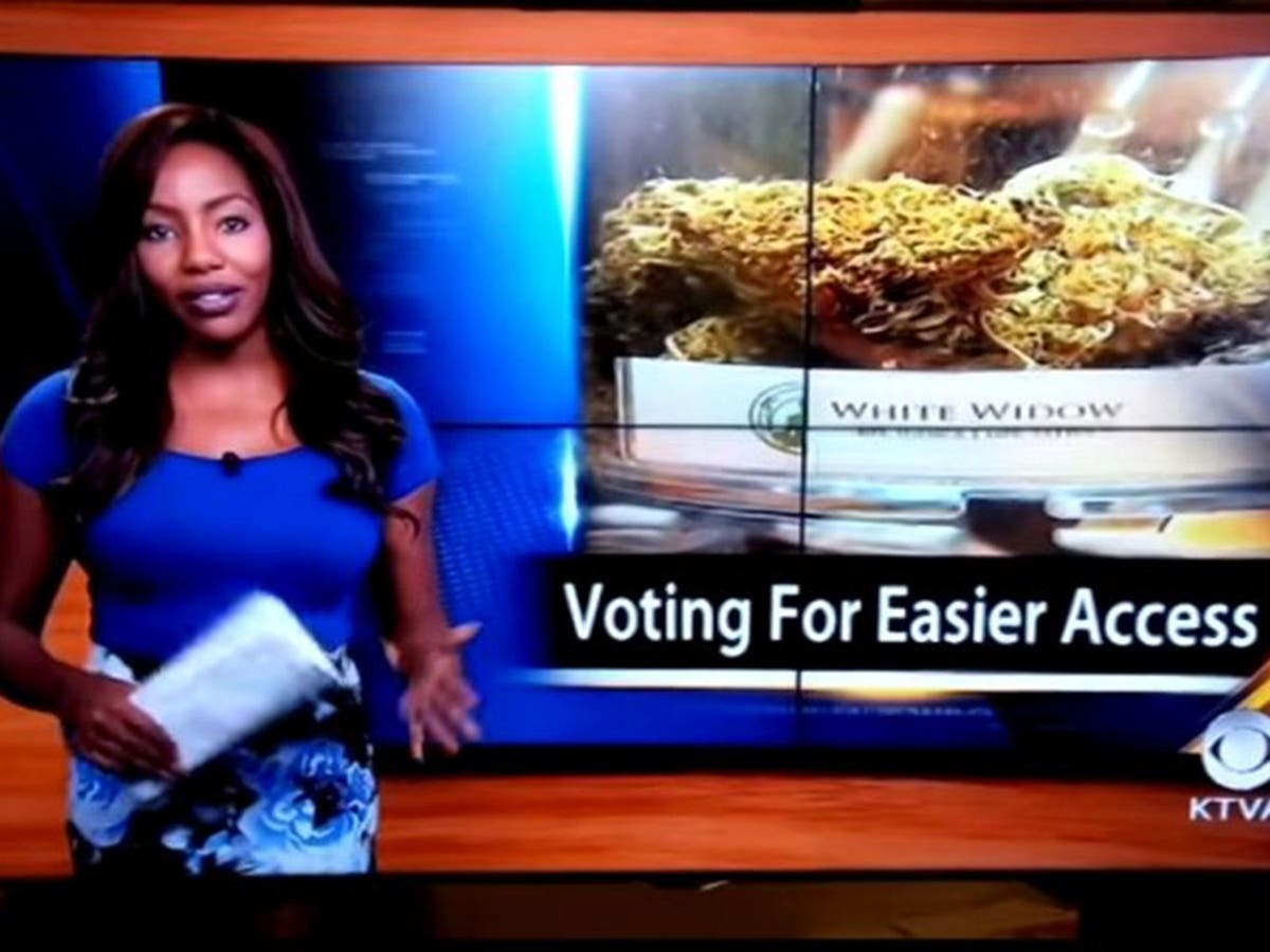 Charlo Greene: Reporter who quit on live TV to campaign for marijuana ...