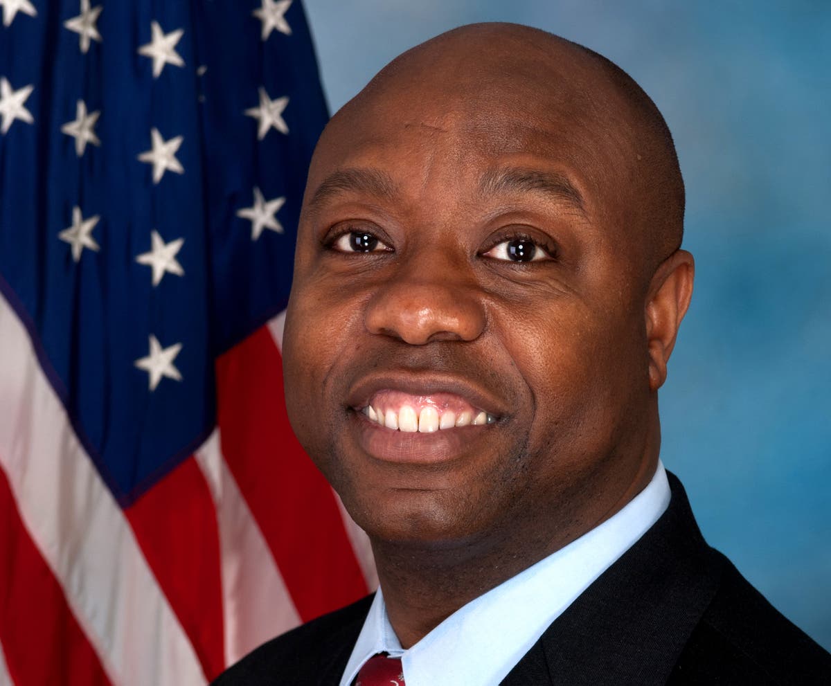 Tim Scott becomes first black senator in US Deep South since Civil War ...