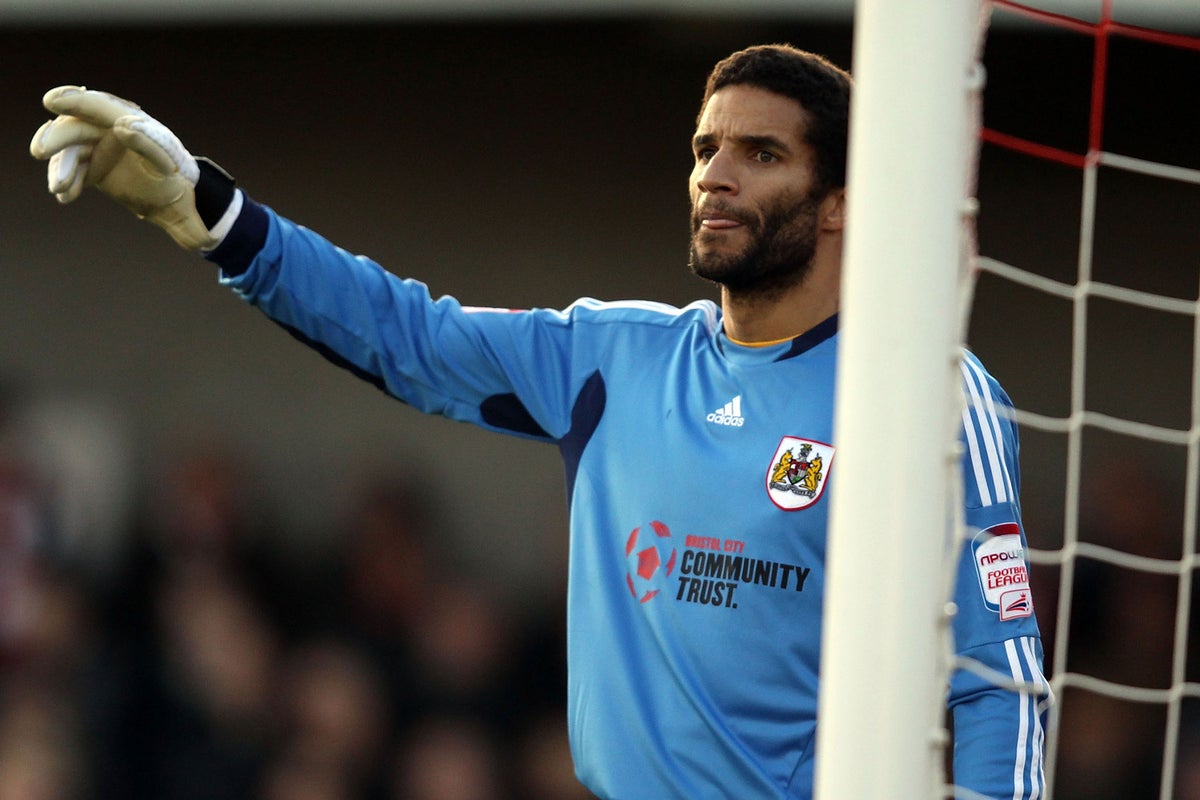 David James: How former Liverpool goalkeeper ended up with his ...