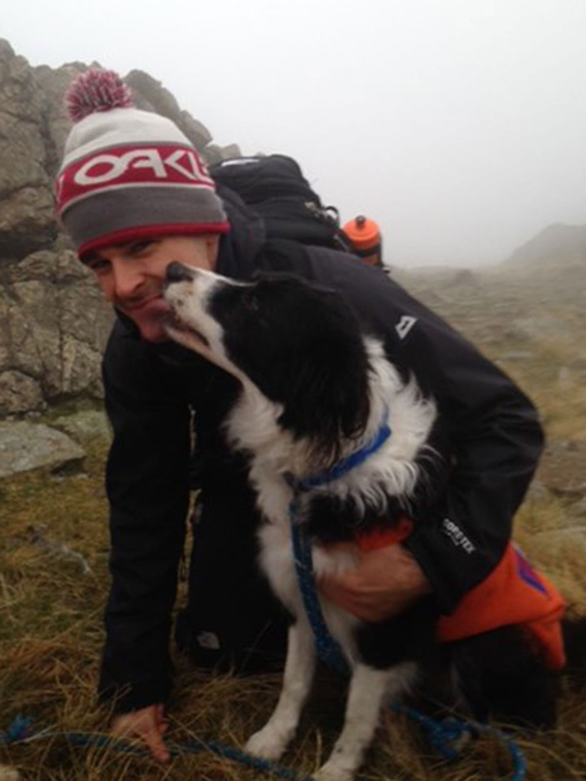 Find Jasper: Missing dog reunited with owner after Facebook appeal goes ...