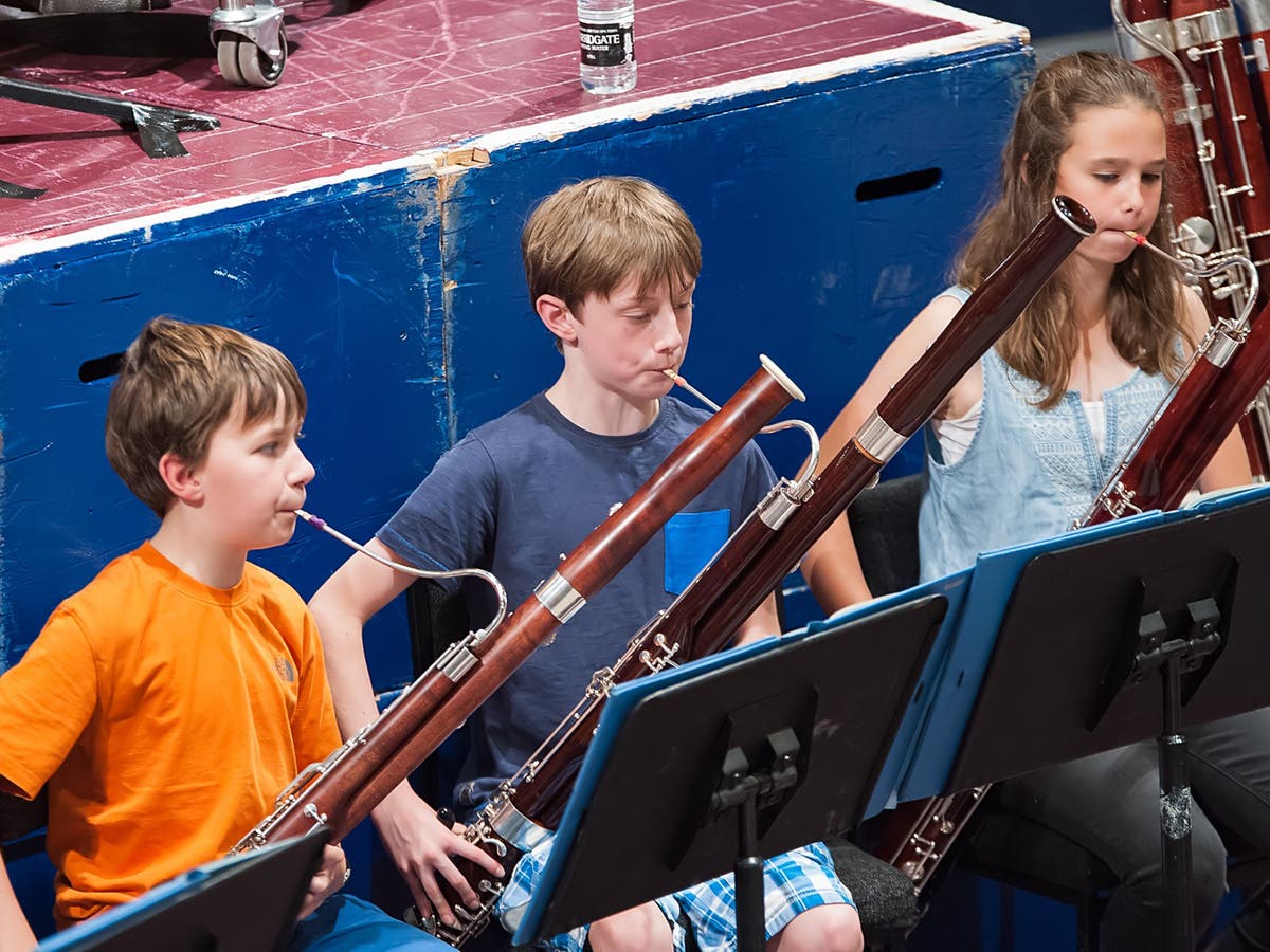 National Children's Orchestras of Great Britain dominated by southern ...