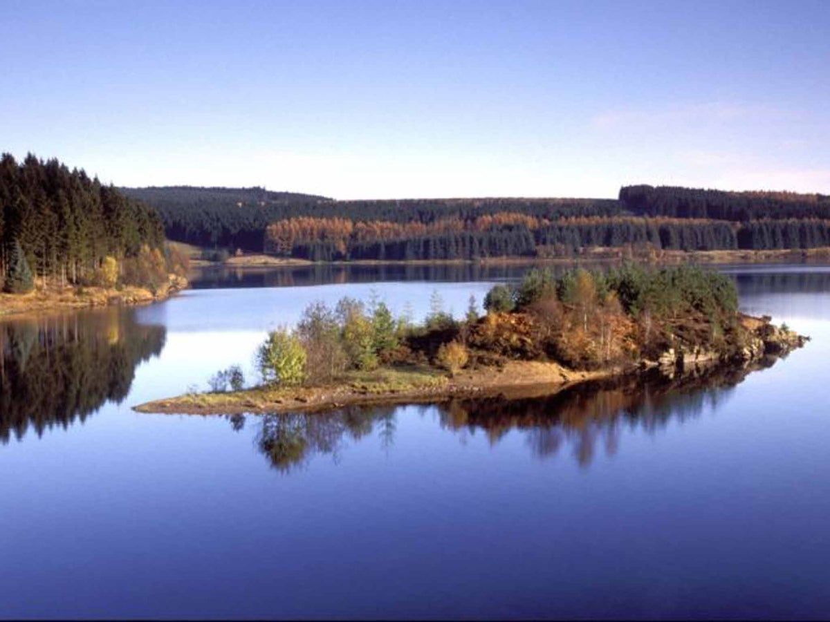 hiking kielder forest