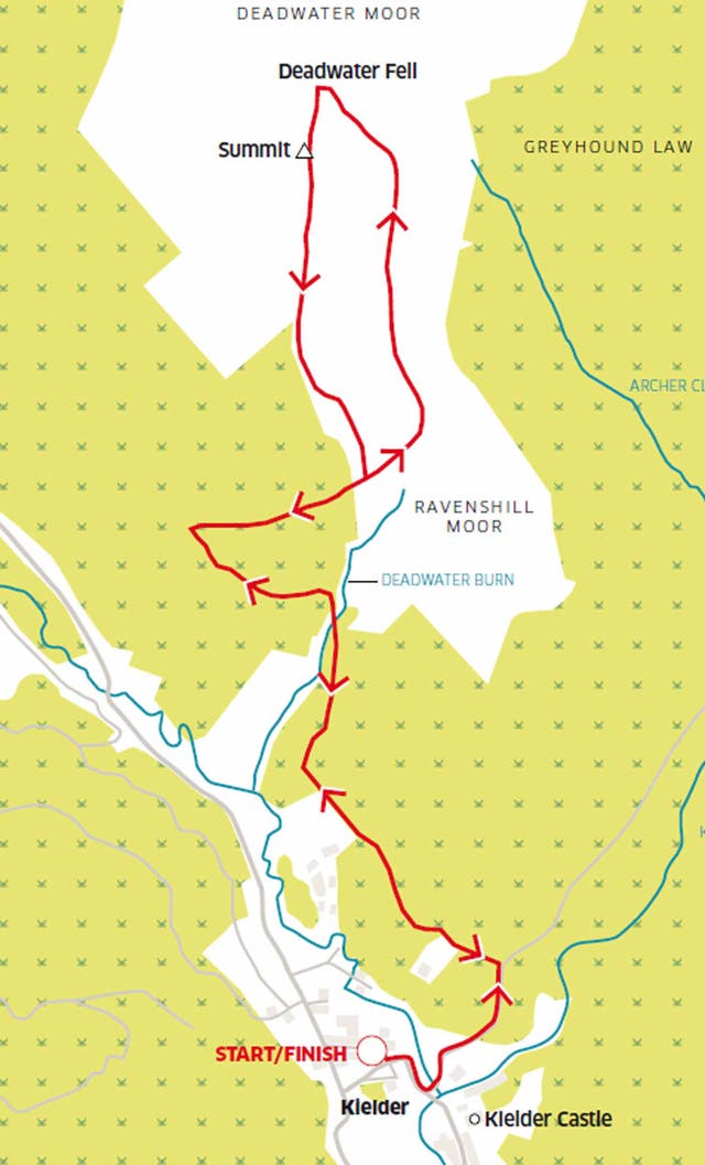 Kielder Forest: Walk of the month | The Independent | The Independent