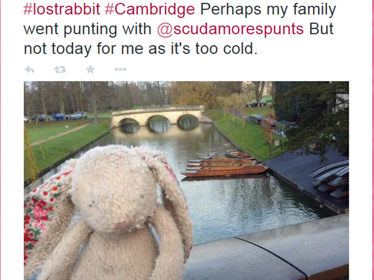 #lostrabbit: Cuddly bunny reunited with little girl after man who found ...