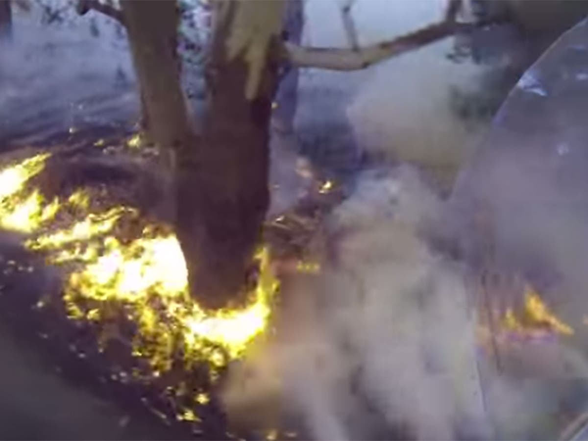 Firefighter's GoPro shows battle to halt Australian wildfires | The ...