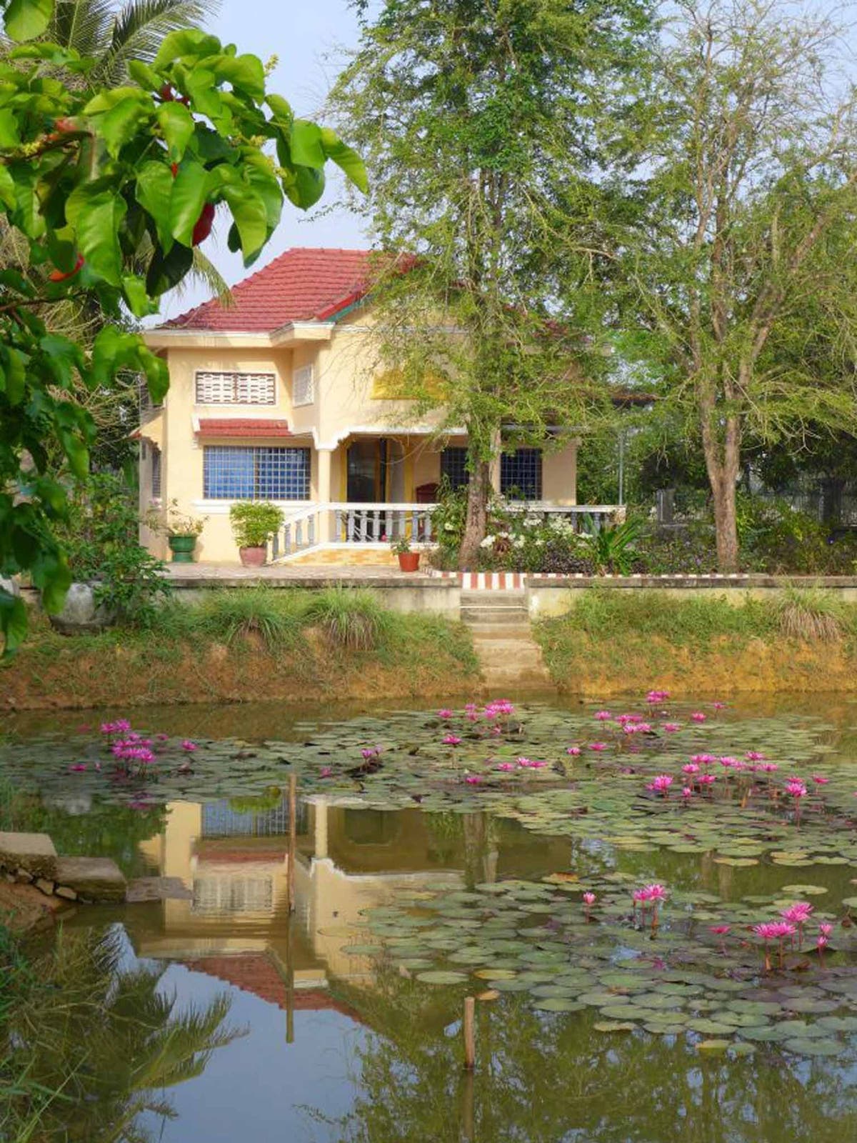Cambodia homestay: Tuk-tuks, temples and a personal touch | The ...