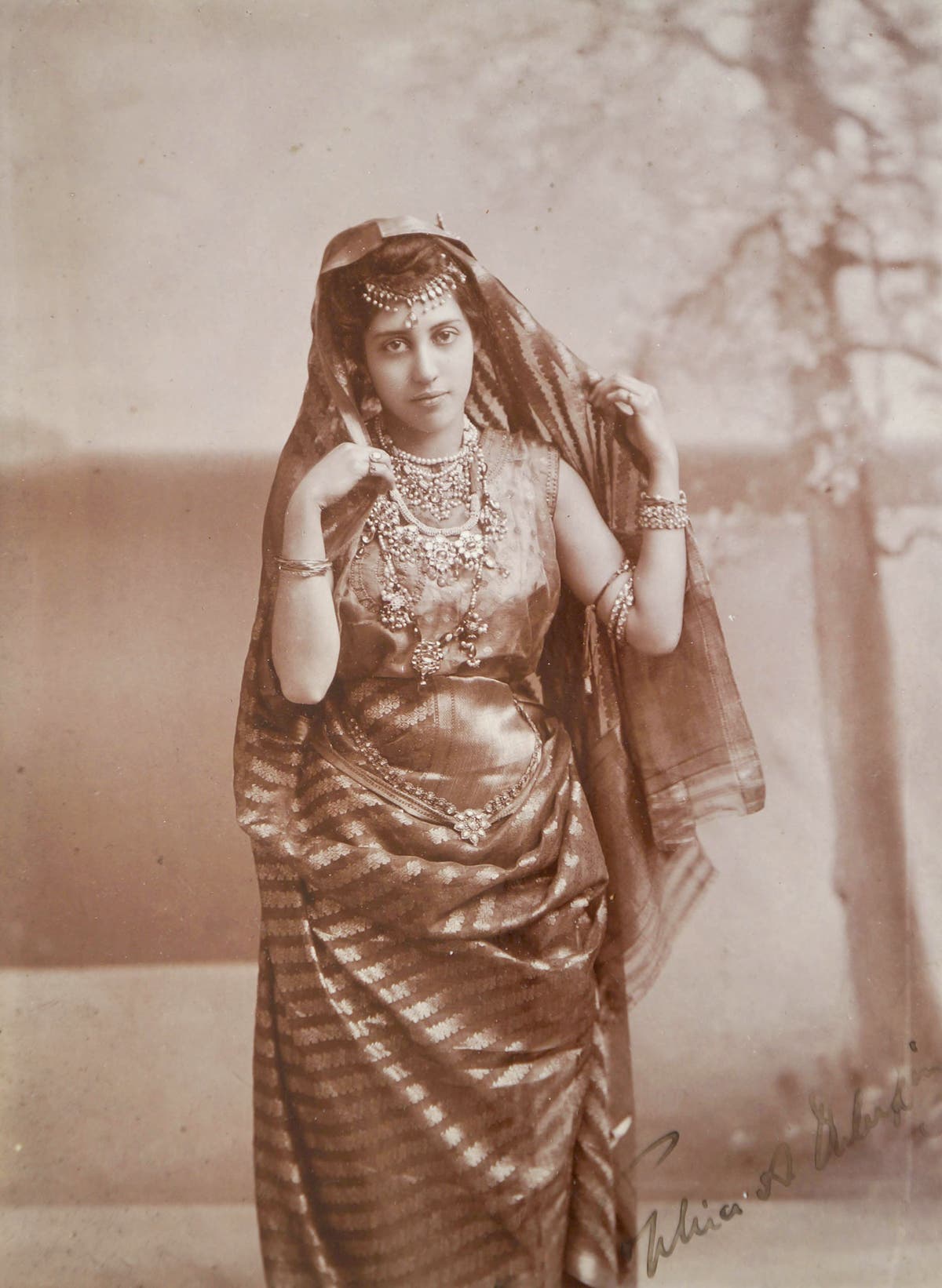 Sophia: Princess, Suffragette, Revolutionary by Anita Anand, book ...