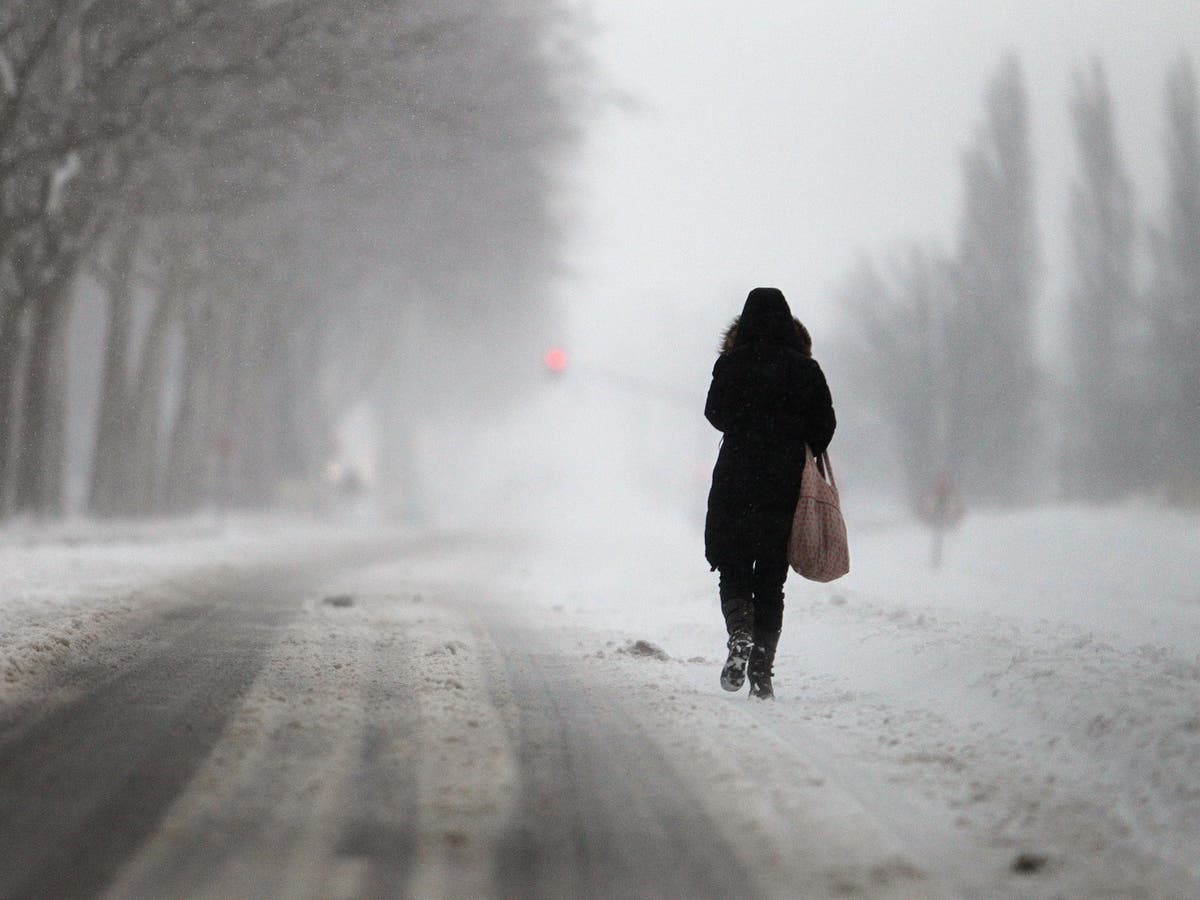 Keeping cold could keep you thinner, scientists say | The Independent ...