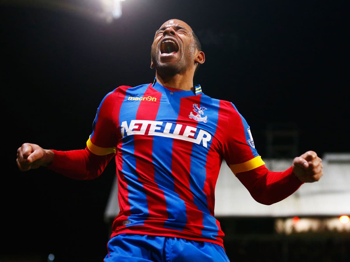 Crystal Palace vs Tottenham match report: Jason Pucheon powers Alan ...