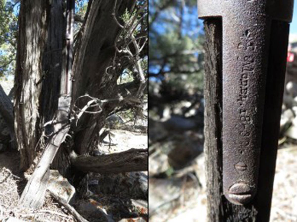 Has this Winchester rifle been propped against a tree for more than 100 ...