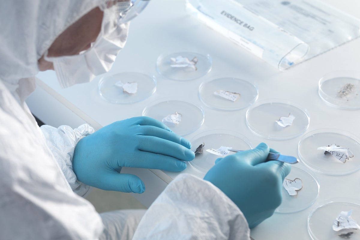 FBI overstated forensic hair matches to suit prosecutors of serious ...