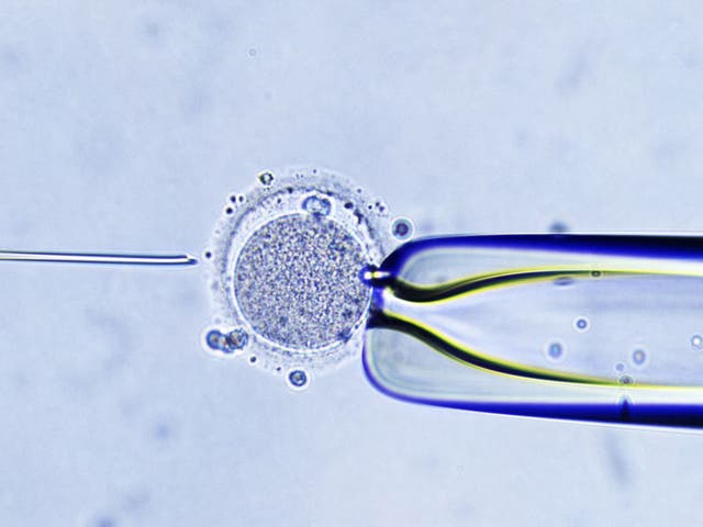 Scientist who pioneered 'three-parent' IVF embryo technique now wants ...