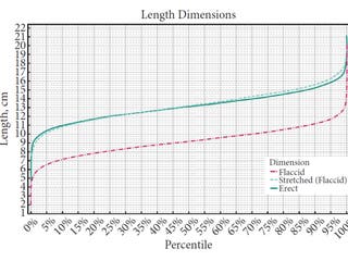 Average penis size revealed: Scientists attempt to find what is 'normal ...