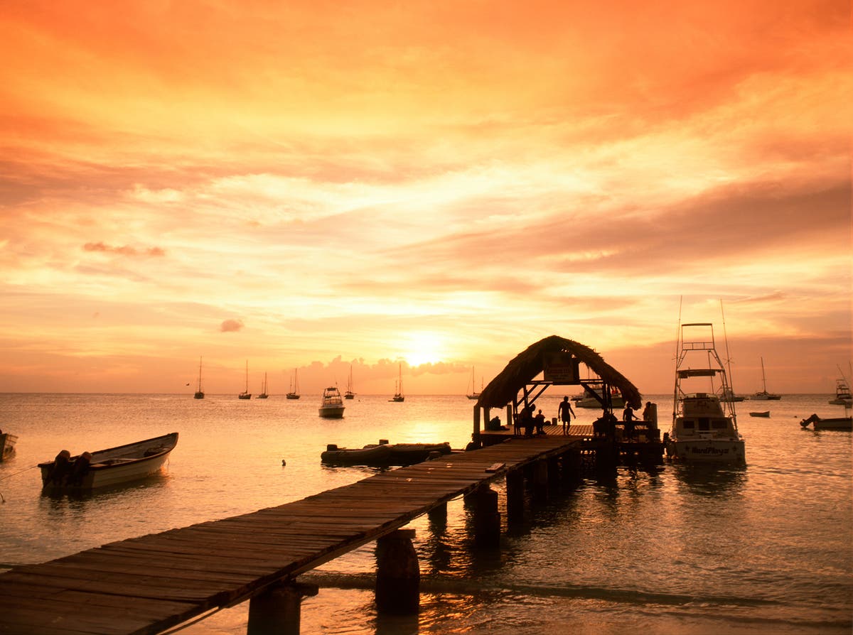 Returning home to demi-paradise | The Independent | The Independent