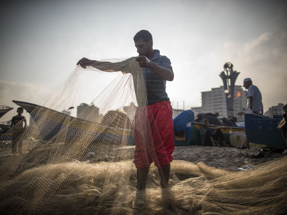 The Gaza fisherman who built his own reef - and was shot dead there by ...