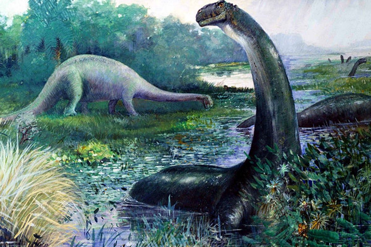 The Brontosaurus has been officially classed as a dinosaur again | The ...