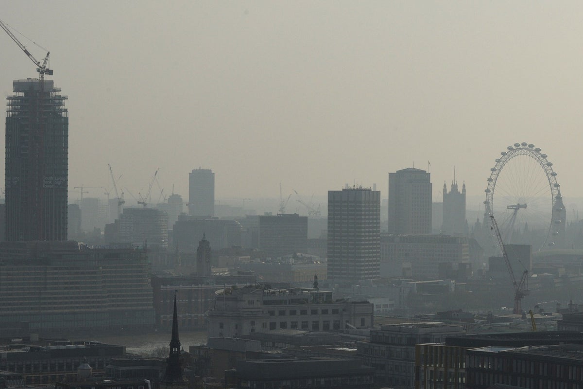 Free public transport in London is the only way to save our environment ...