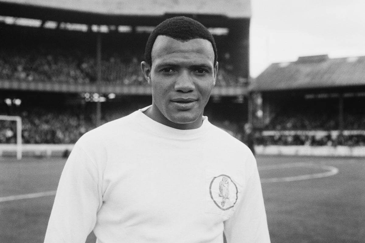 Albert Johanneson: Sad tale 50 years on of football’s first black FA ...