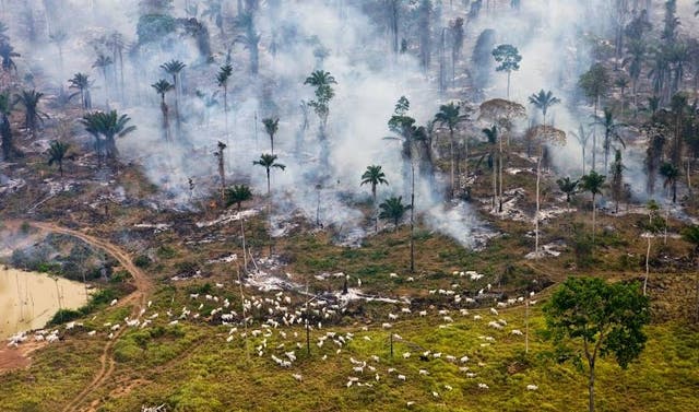 Earth Day 2016: Humanity's devastating effect on the planet in 19 ...