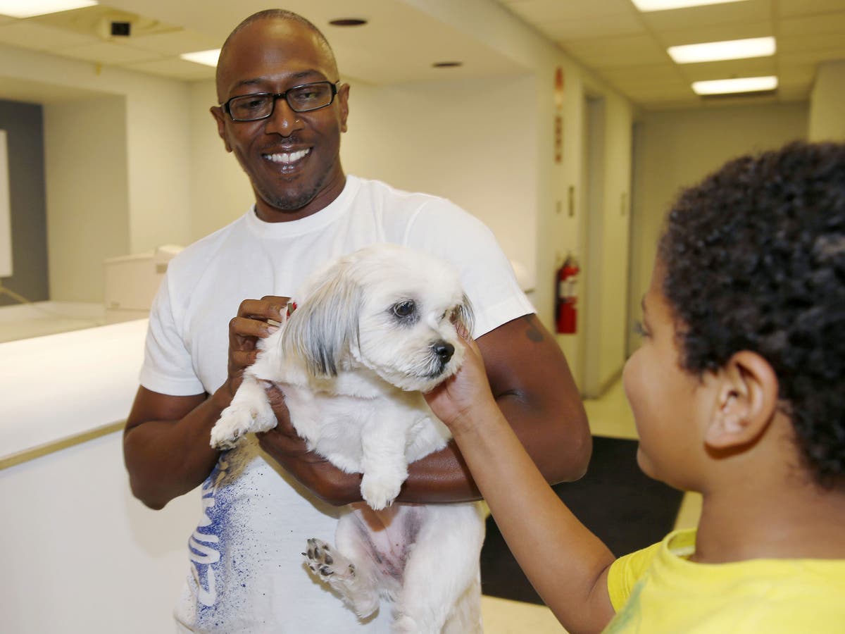 Dog missing for four years reunited with owner after being found 1,000 ...
