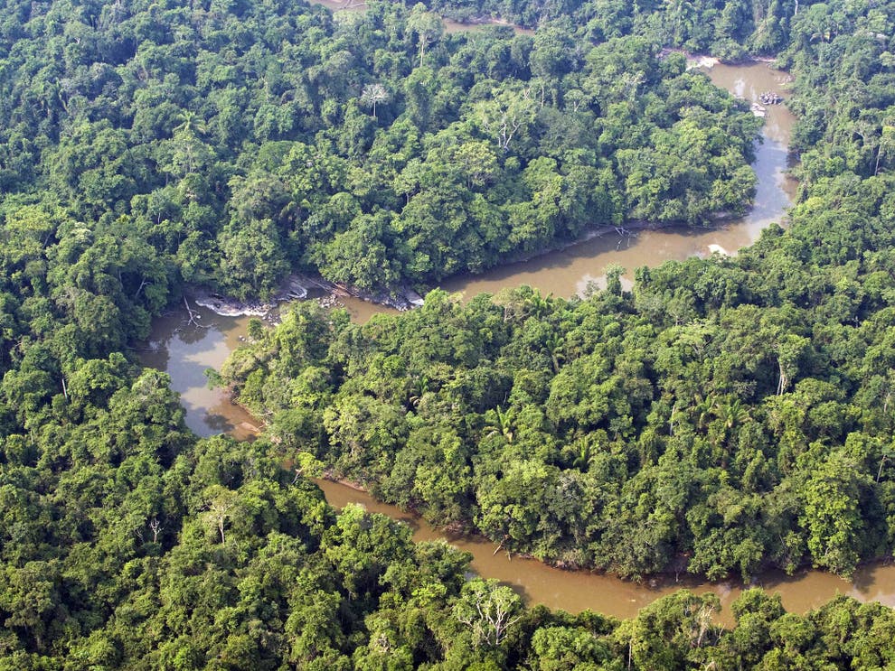 Climate change could wipe out half of all plant and animal species from ...